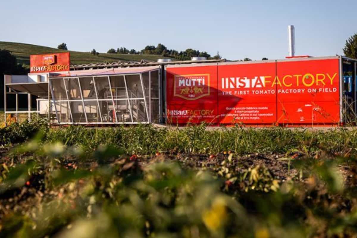 “Insta Factory”: a revolutionary mobile plant that takes local produce ...